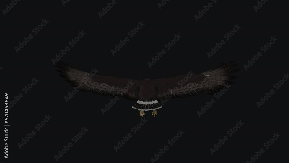 Black Hawk - Flying Loop - Back View CU - Realistic 3D animation with ...