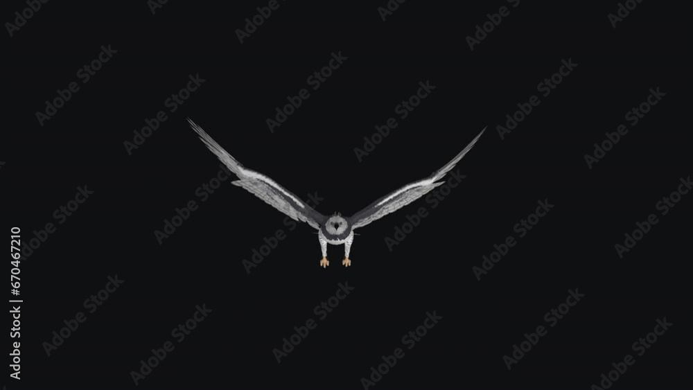 Harpy Eagle - Flying Loop - Front View - Realistic 3D animation ...