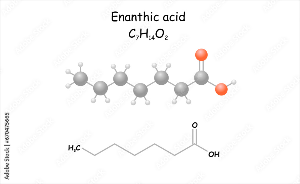 Enanthic acid. Stylized molecule model and structural formula ...