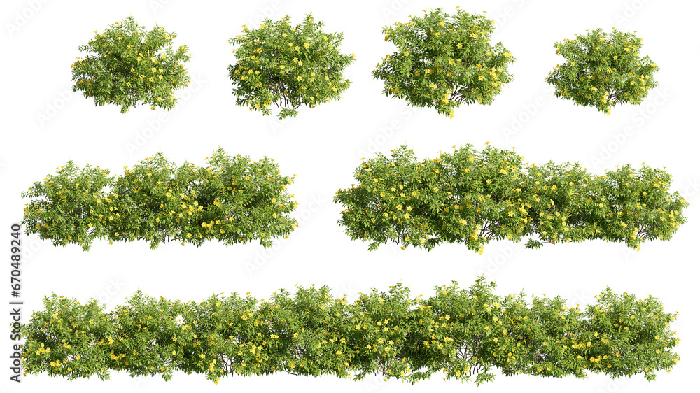 set of shrubs, 3D rendering with transparent background, for ...