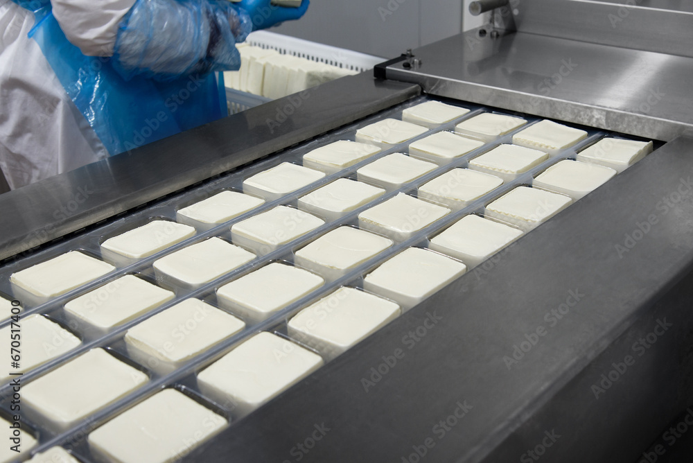 Cow cheese making, white feta, mozzarella, cheese production line ...