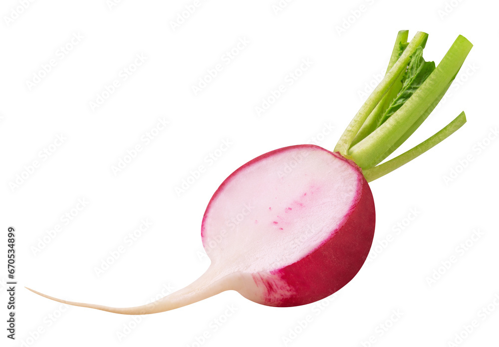 Radish isolated. Half of fresh radish on a transparent background ...