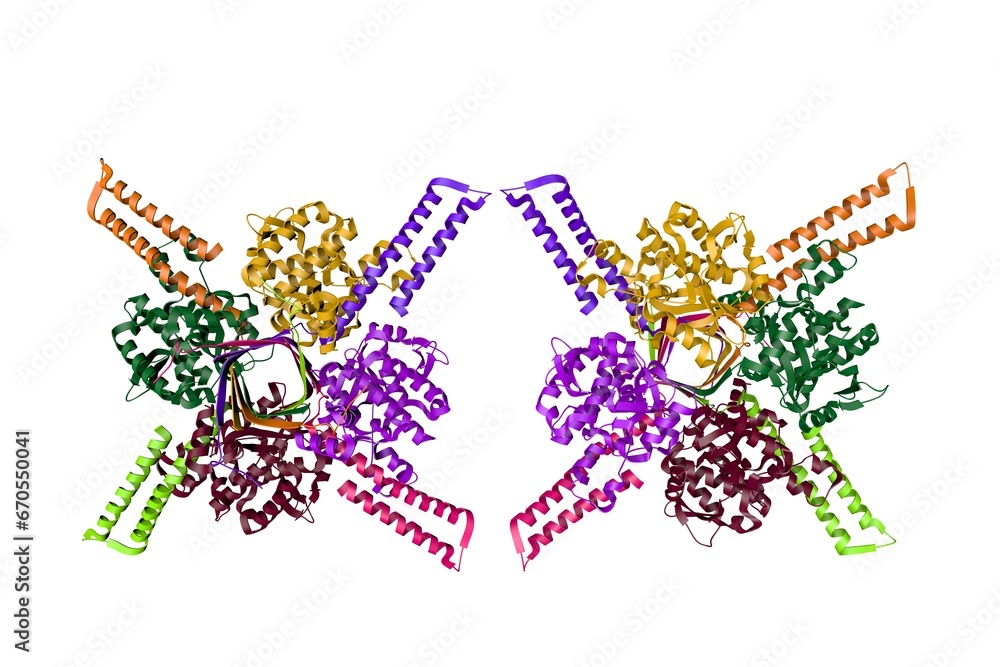 Crystal structure of herpes simplex virus 1 pUL7:pUL51 complex. Ribbons ...