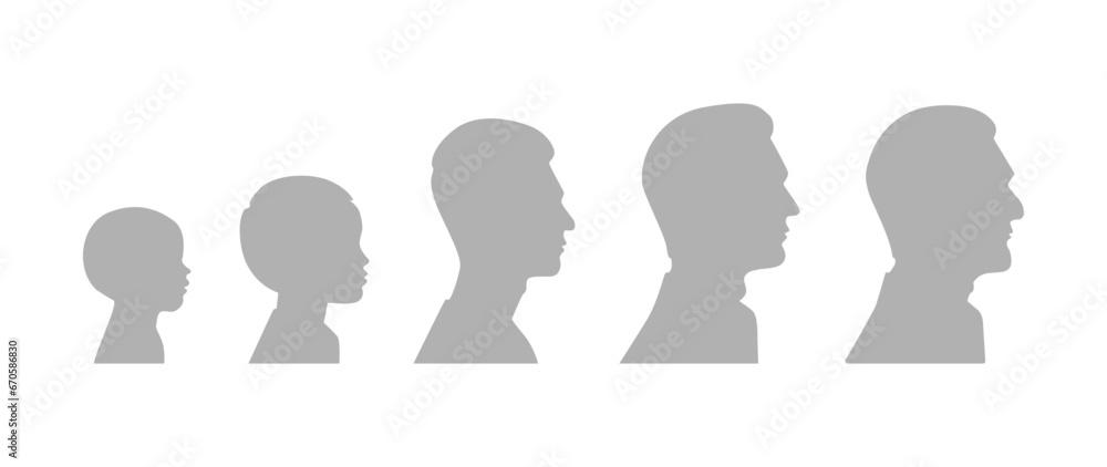 Vector illustration. Stages of growing up of a man - baby, child ...