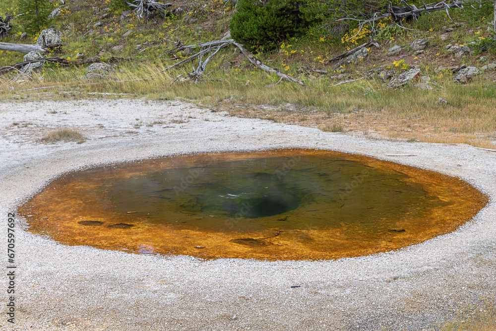The Wave Spring with its intense brown colors in the Upper Geyser Basin ...