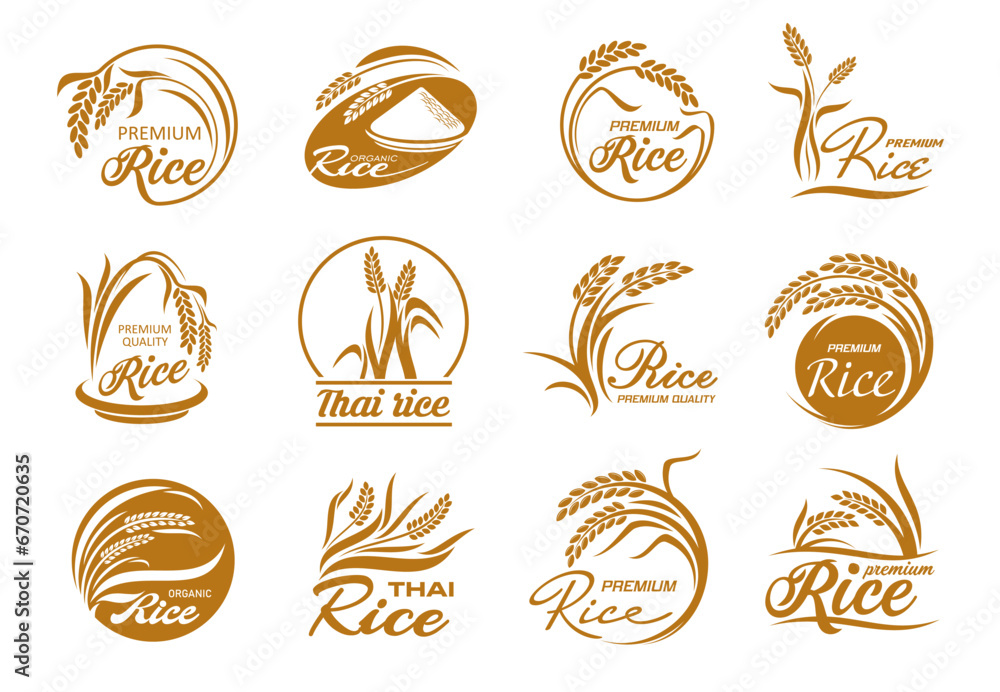 Rice icons with cereal plants and paddy grains. Vector gold leaves and ...