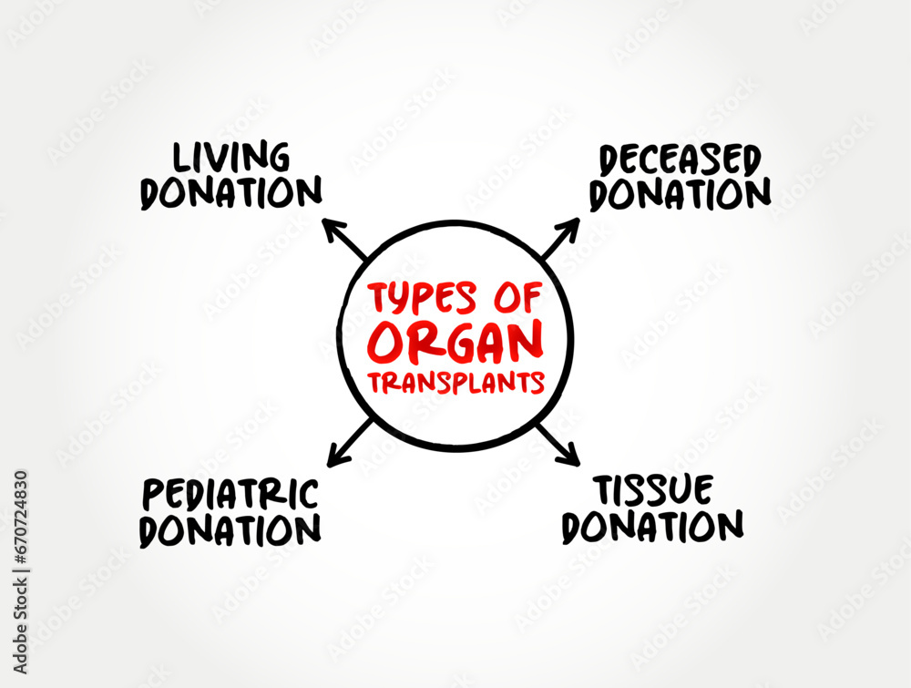 Types of Organ Transplants (medical procedure in which an organ is ...