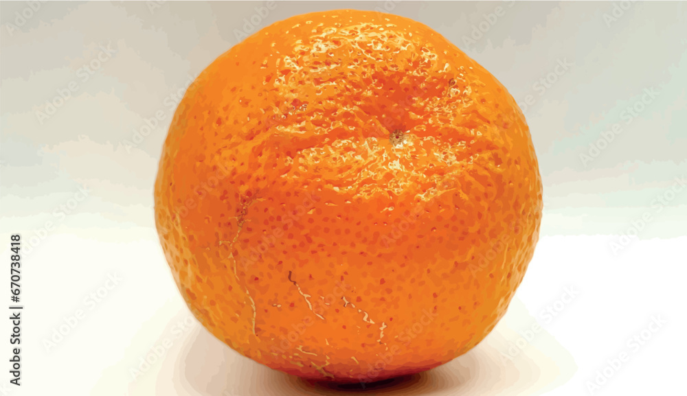 One tangerine vector. Ripe tangerine vector isolated close up. Citrus ...