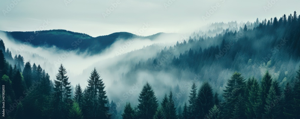 Fog conceals details of mountains with trees inviting greater sense of ...