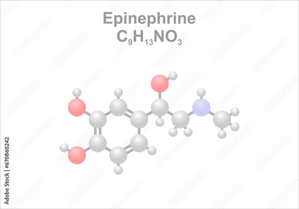 Simplified scheme of the epinephrine molecule. Use as vasoconstrictor ...