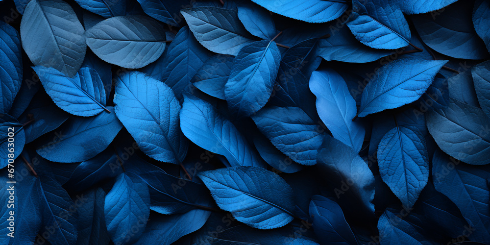 Leaves texture natural background. Blue color. Botanical leaf. Blue ...