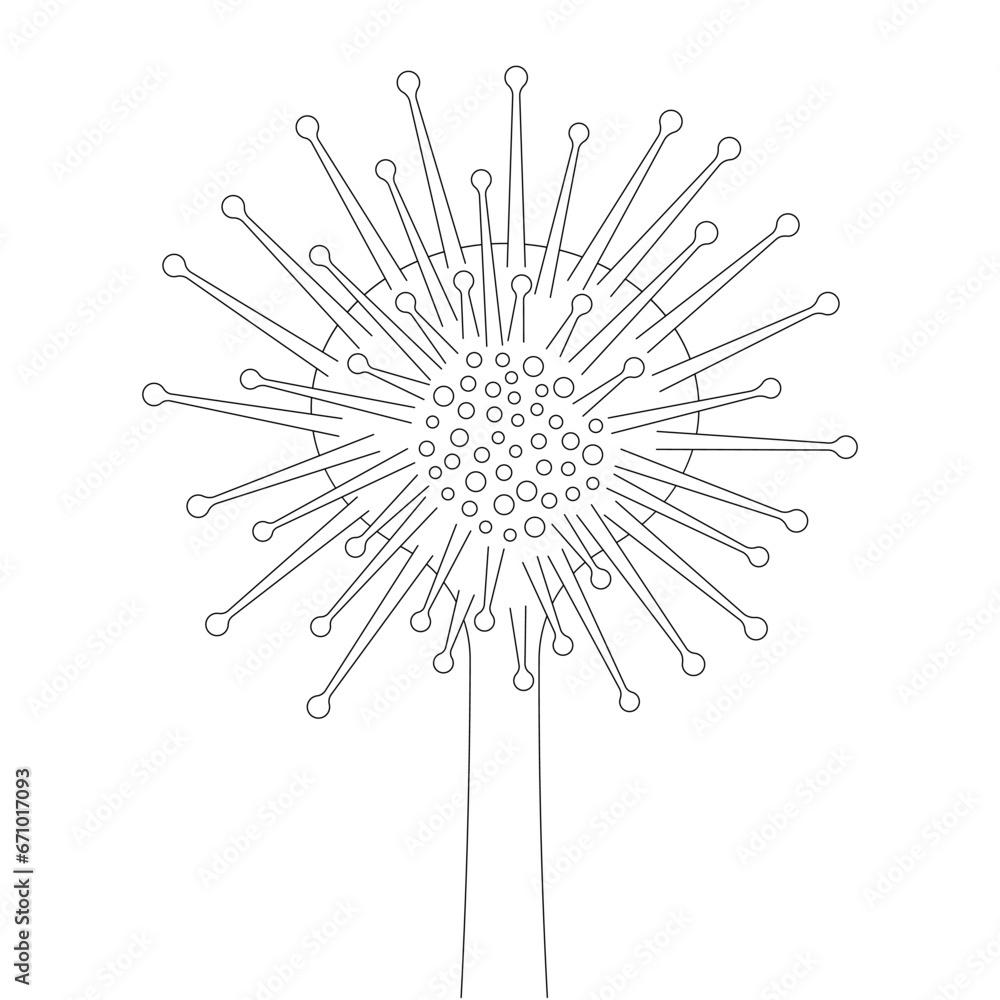 Cartoon sundews plant isolated on white background in black and white ...