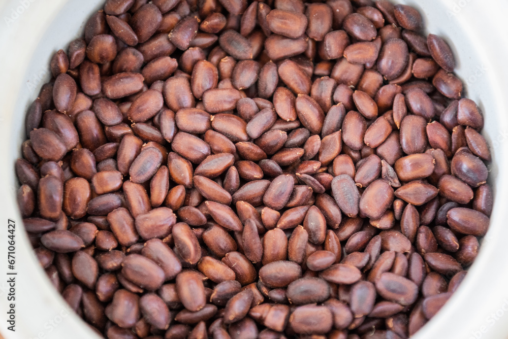 Seed of Samanea saman is a species of flowering tree in the pea family ...