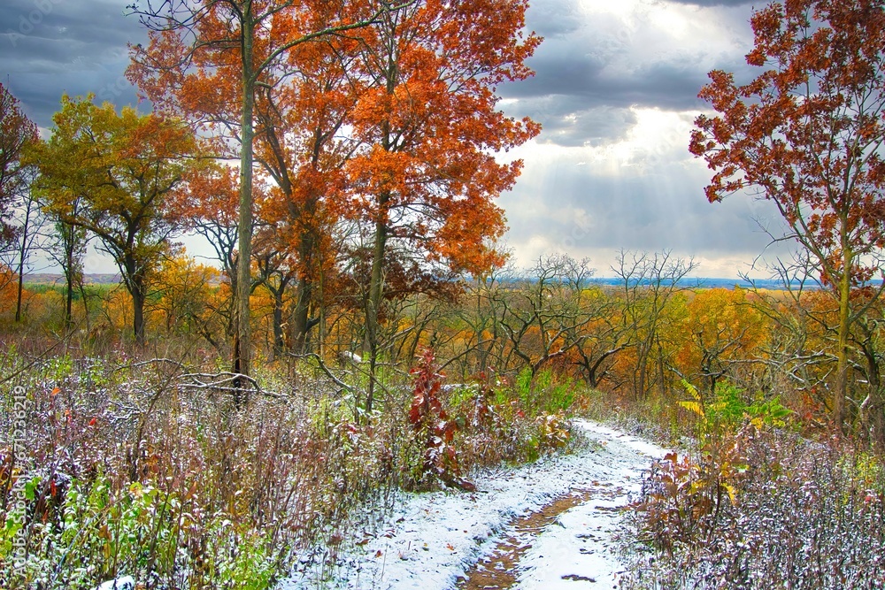 Autumn landscape of the forest with a light dusting of snow along a ...