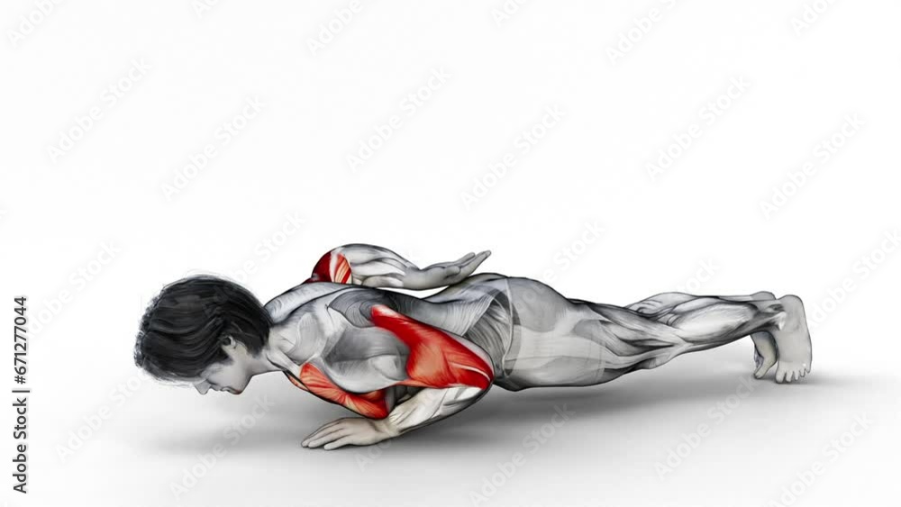 Single Arm Push-Up-3D (047)- Anatomy of fitness and bodybuilding with ...