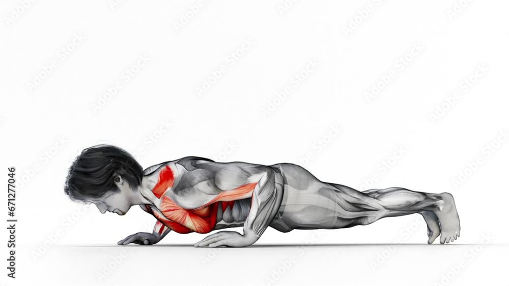 Shoulder Tap Push-up Plyometrics-3D (046)- Anatomy of fitness and ...