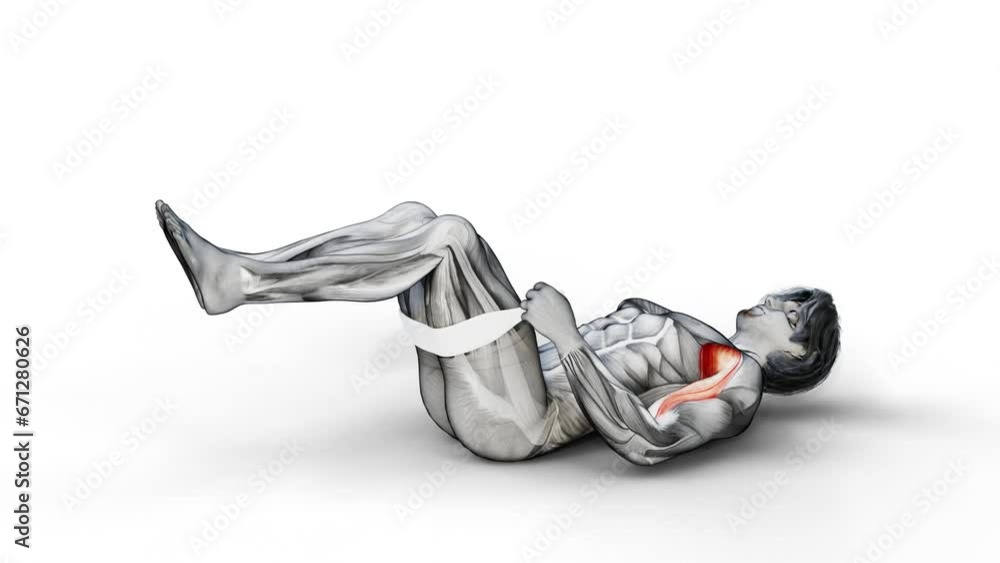 Lying Double Legs Hammer Curl with Towel-3D (095)- Anatomy of fitness ...