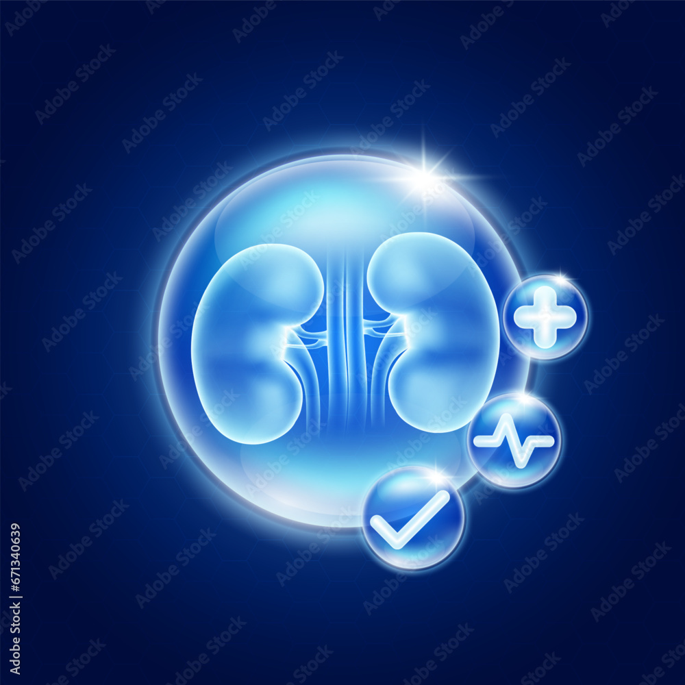 Healthy kidney inside glass bubbles glowing with medical icon cross ...