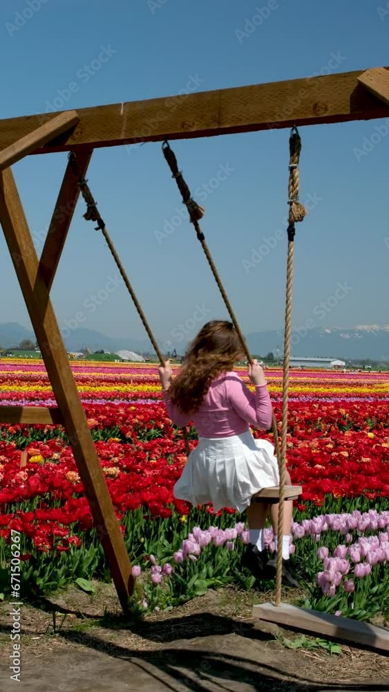A young girl in dress swinging on swing in evening park. Wooden swing ...