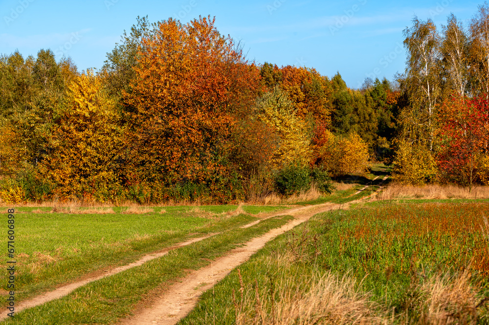 JESIENNA AURA, JESIENNE KOLORY, GRZYBY, PIEKNA POLSKA JESIEN, PIEKNE ...