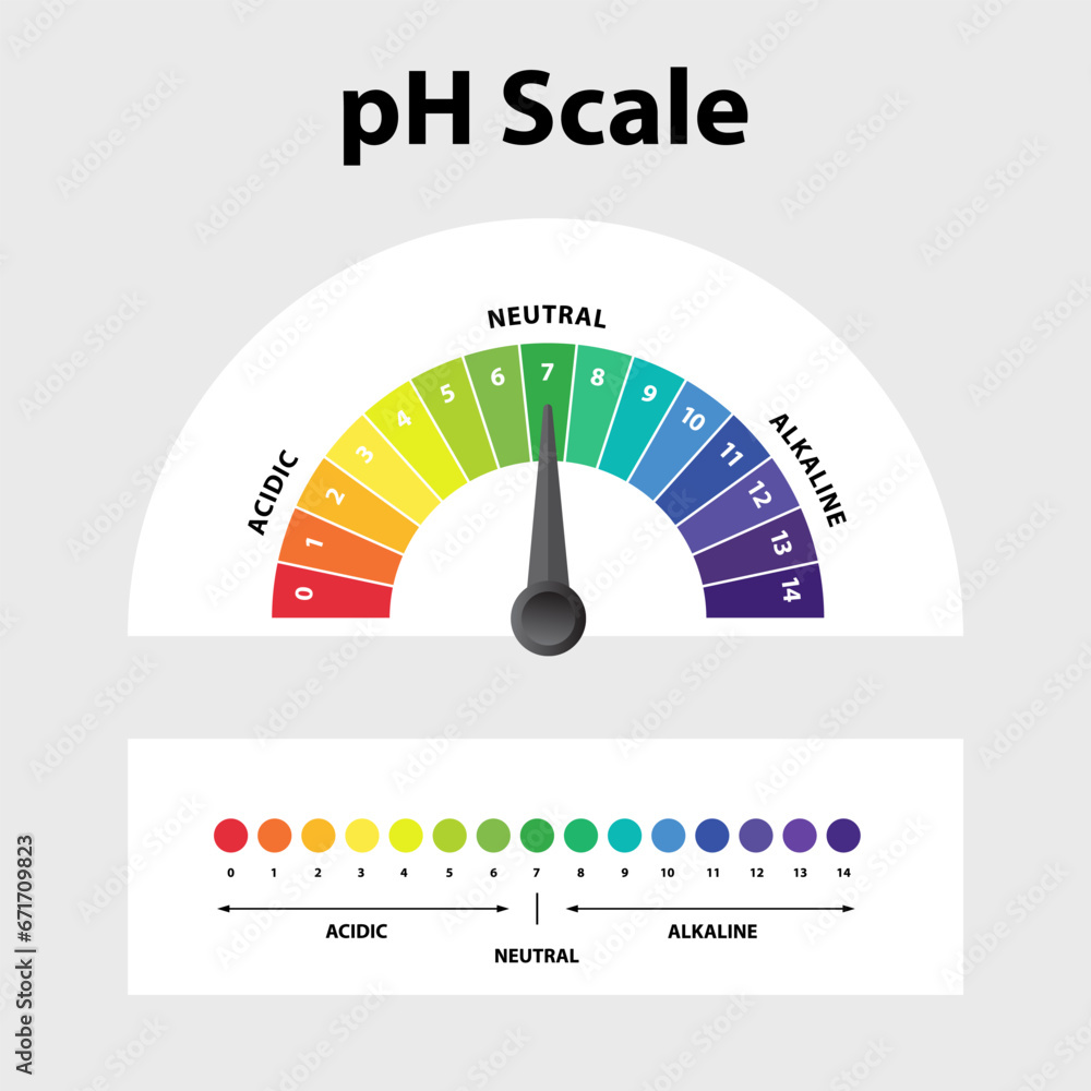 Ph level Scale chart indicator diagram value. Alkaline, neutral, acidic ...