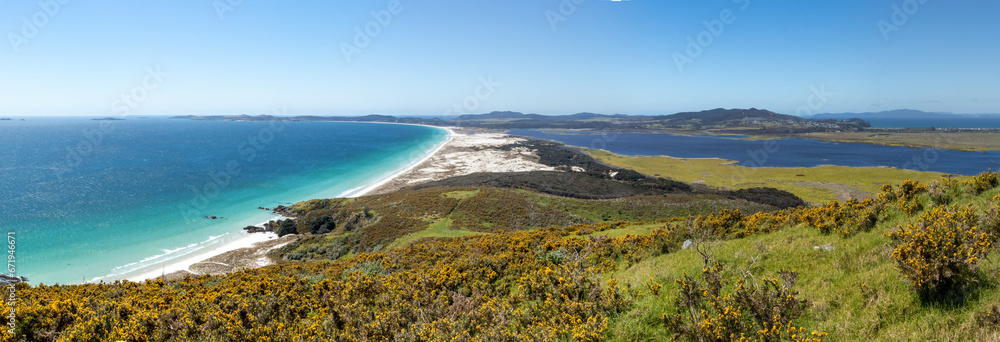 Puheke Lookout: Iconic Meeting of Native flora and Azure Seascape in ...