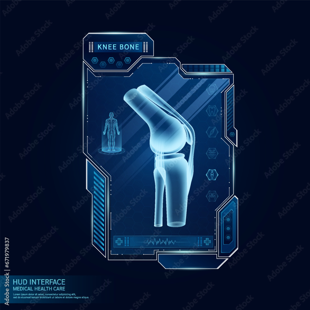 Knee joint bone in display card HUD interface medical. Human organ ...