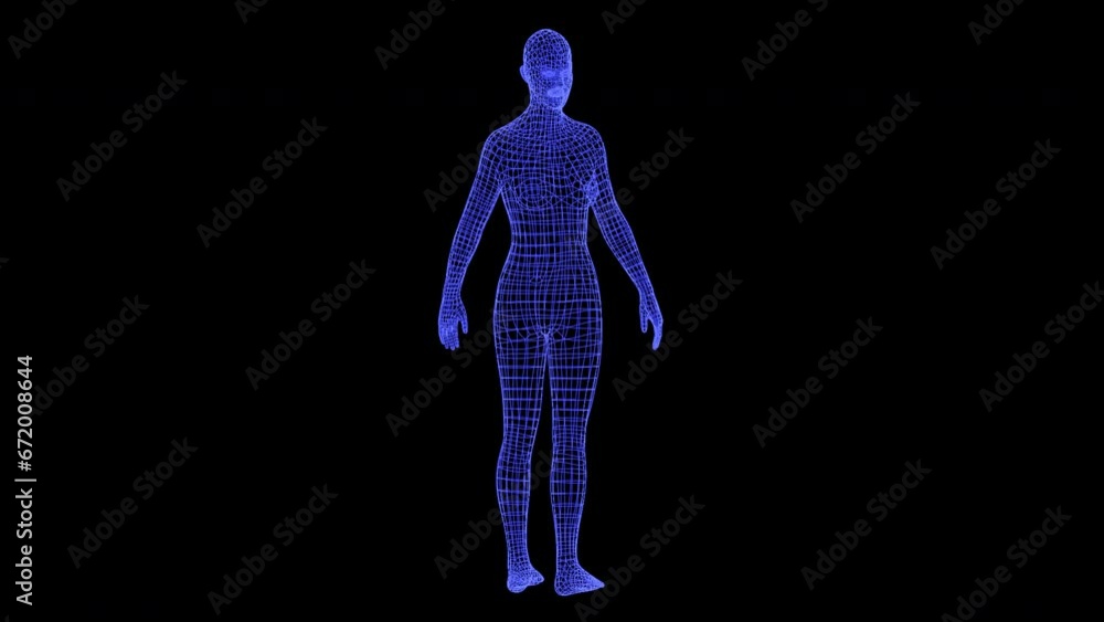 male wireframe transparent on push background Human skin body head ...
