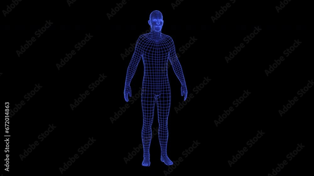 Vidéo Stock male wireframe transparent on push background Human skin ...