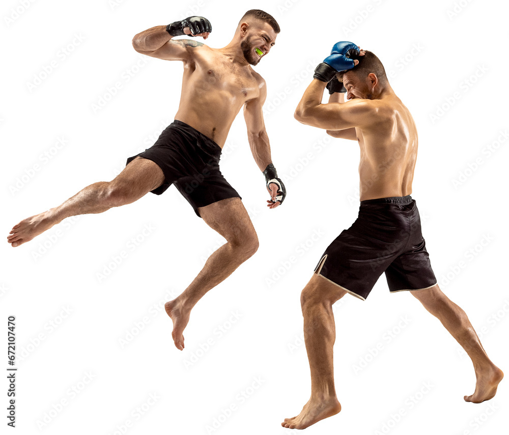 MMA. Two professional fighters punching, boxing isolated transparent ...