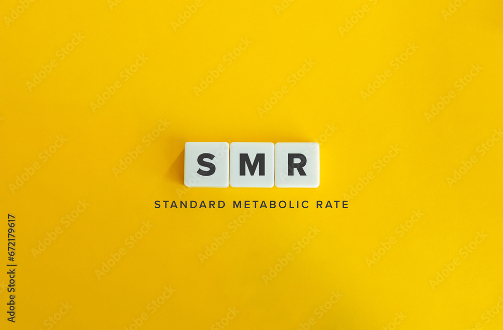 Standard metabolic rate, SMR. Letter Tiles on Yellow Background ...