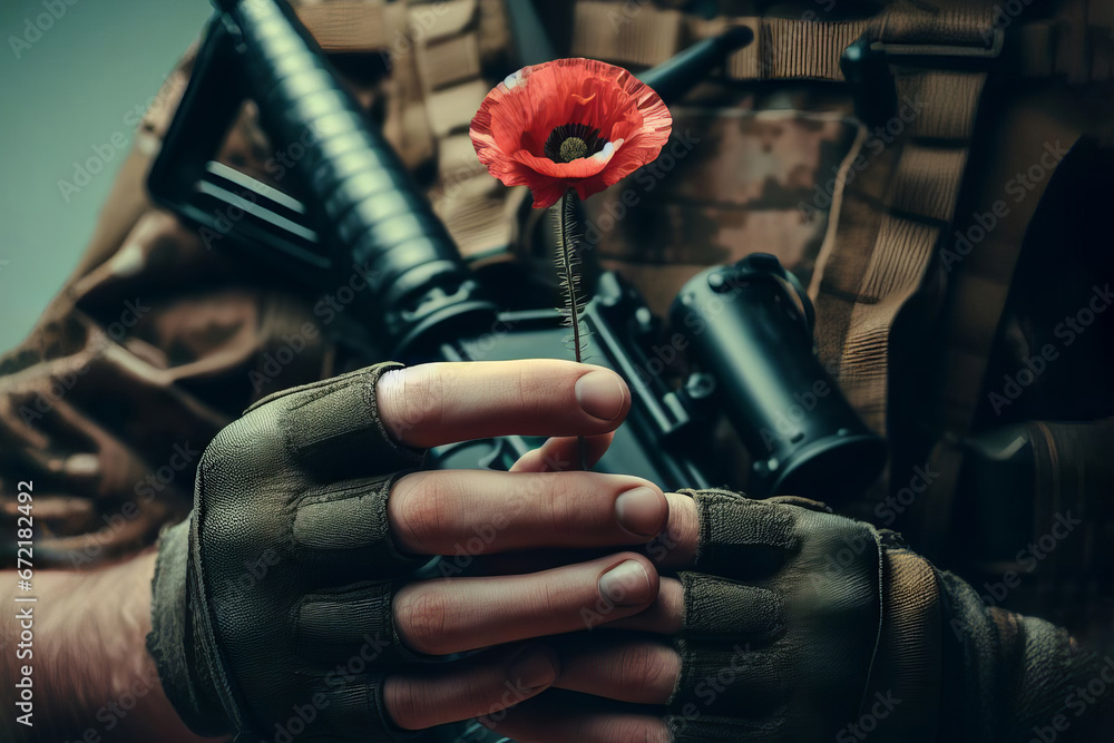 Soldier hands holding gun and one wild red poppy flower. Remembrance ...