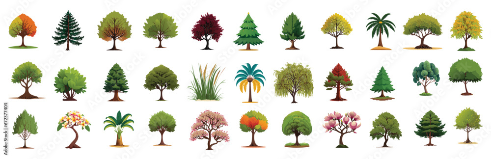 Collection of deciduous and evergreen forest plants isolated on white ...