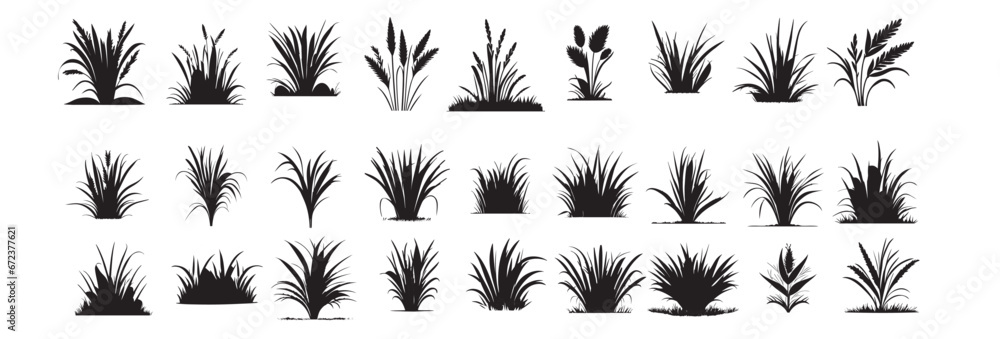 Stock vector illustration Set of silhouette of grass isolated on white ...