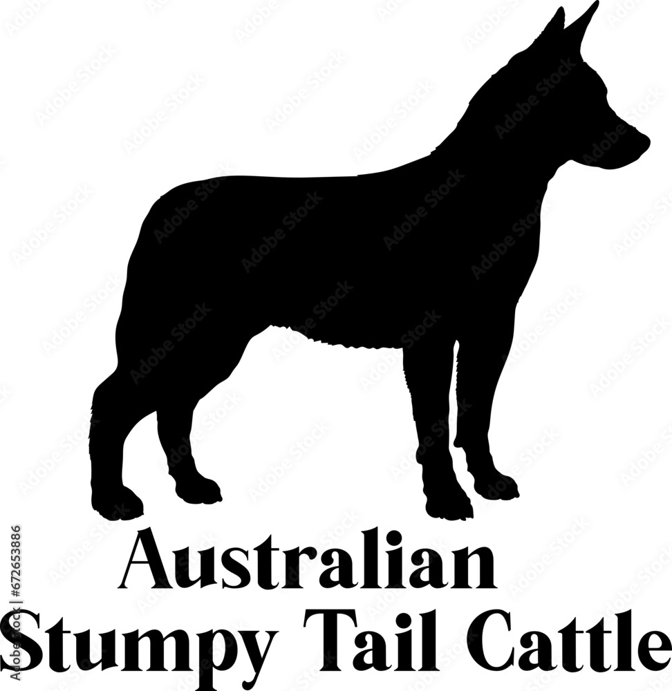 Australian Stumpy Tail Cattle. Dog silhouette breeds dog breeds dog ...