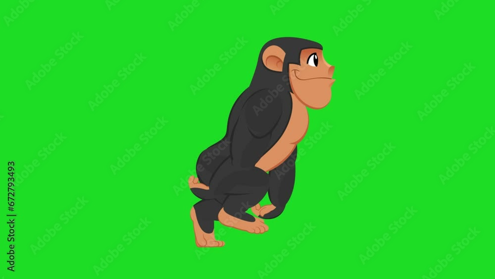 Animated 2d cartoon chimpanzee gorilla ape walking green screen loop ...
