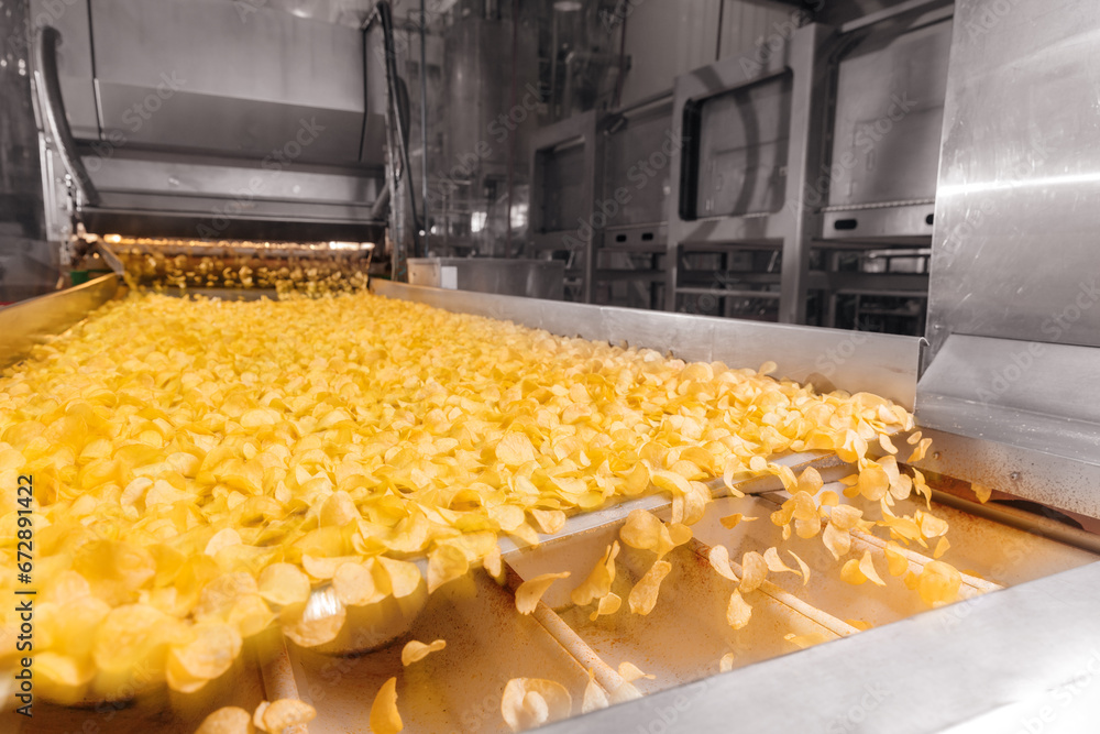 Conveyor line for frying potato chips production at modern food factory ...