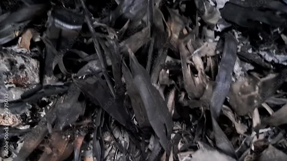 Close up footage 4k of a Burning fall leaves in the incinerator. White ...