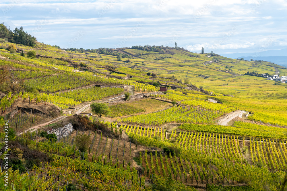 coteaux du vignoble de Kaysersberg en Alsace Stock Photo | Adobe Stock