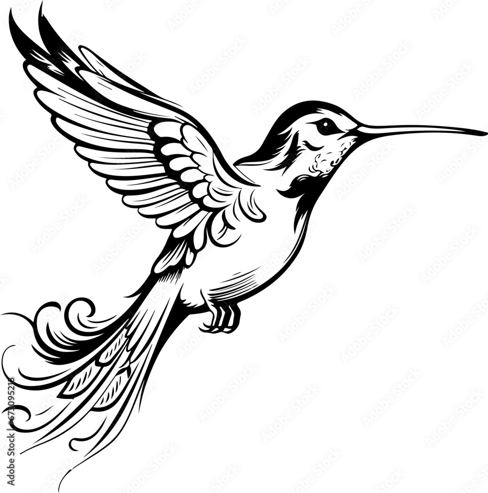 Hummingbird SVG, Bird SVG, Hummingbird Silhouette SVG, Hummingbird ...
