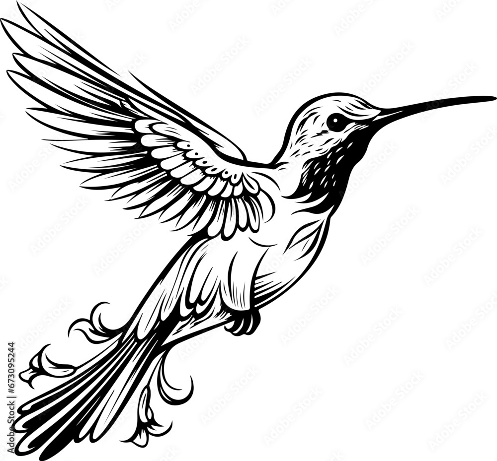 Hummingbird SVG, Bird SVG, Hummingbird Silhouette SVG, Hummingbird ...