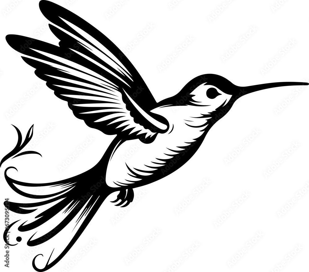Vetor do Stock: Hummingbird SVG, Bird SVG, Hummingbird Silhouette SVG ...