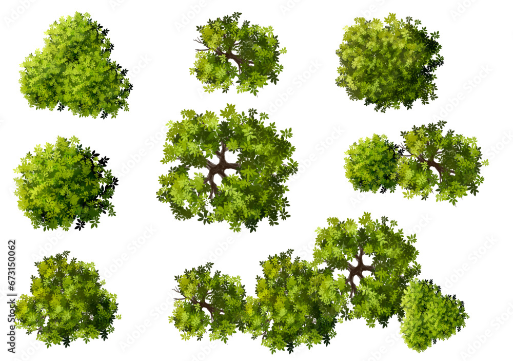 Vertor set of green tree,plants top view for landscape plan,schematic ...