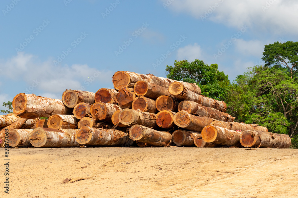 Sustainable forestry: timber log storage yard in the brazilian Amazon ...