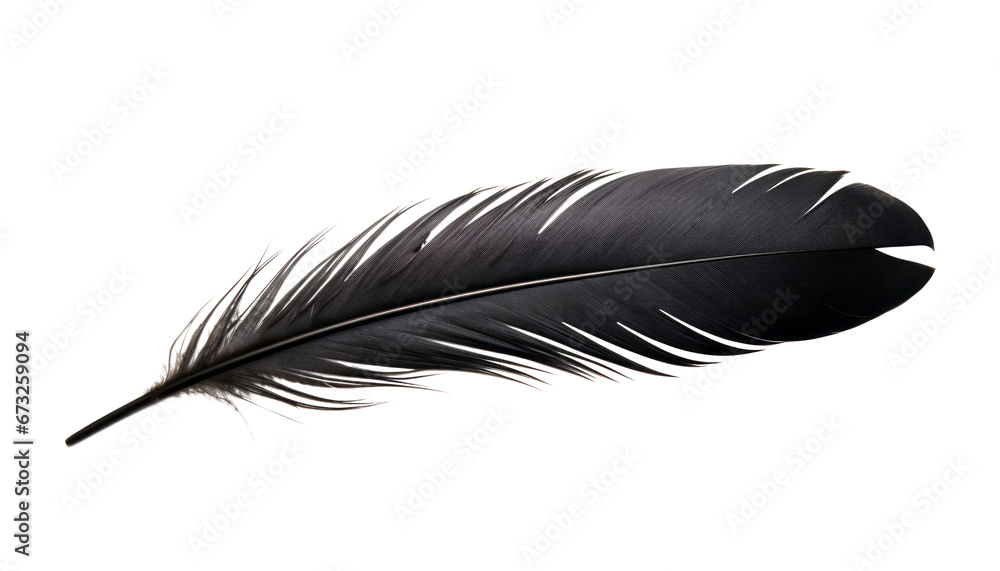 black feather isolated on transparent background cutout Stock Photo ...
