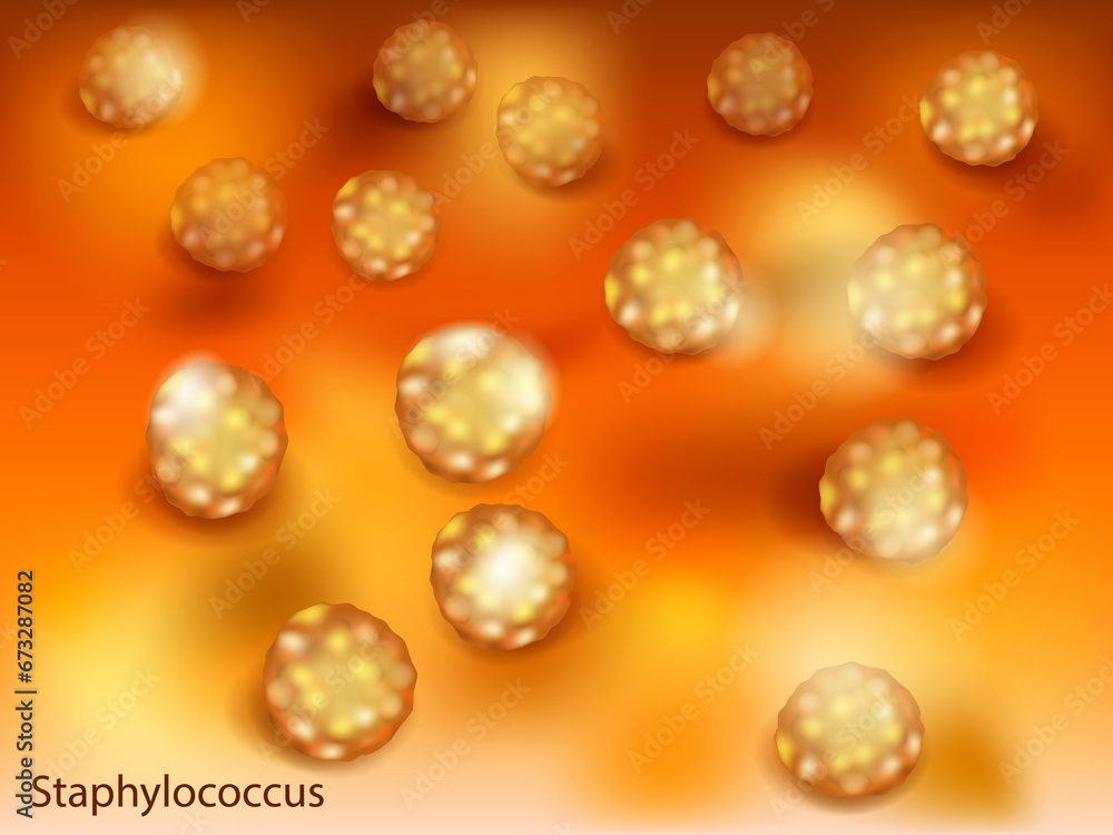 Vector illustration of the Staphylococcus aureus. Staphylococcus is a ...
