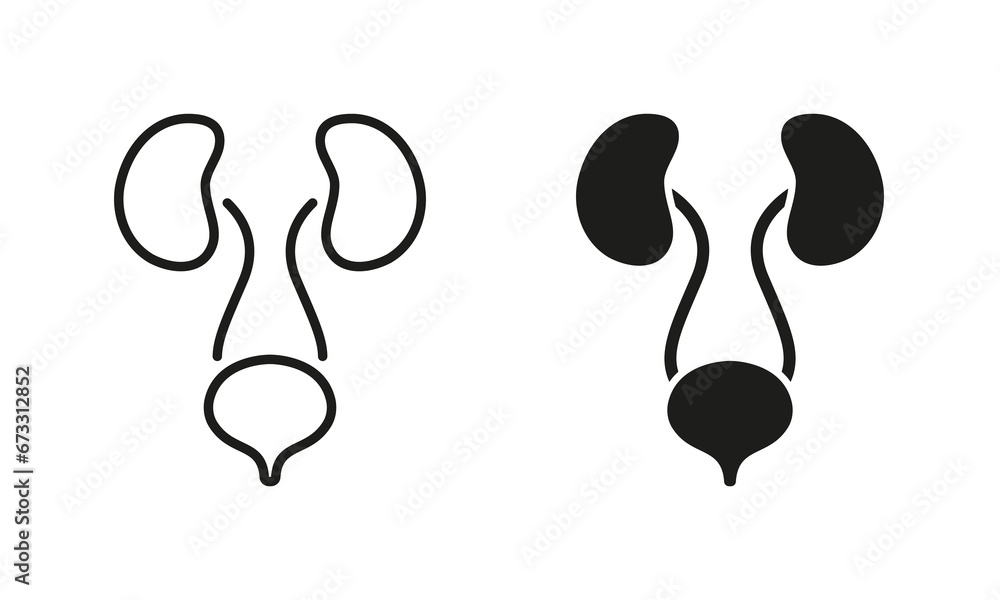 Human Urinary System Line and Silhouette Icon Set. Healthy Internal ...