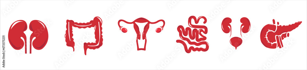 Human internal organs. Vector sketch isolated illustration. Hand drawn ...