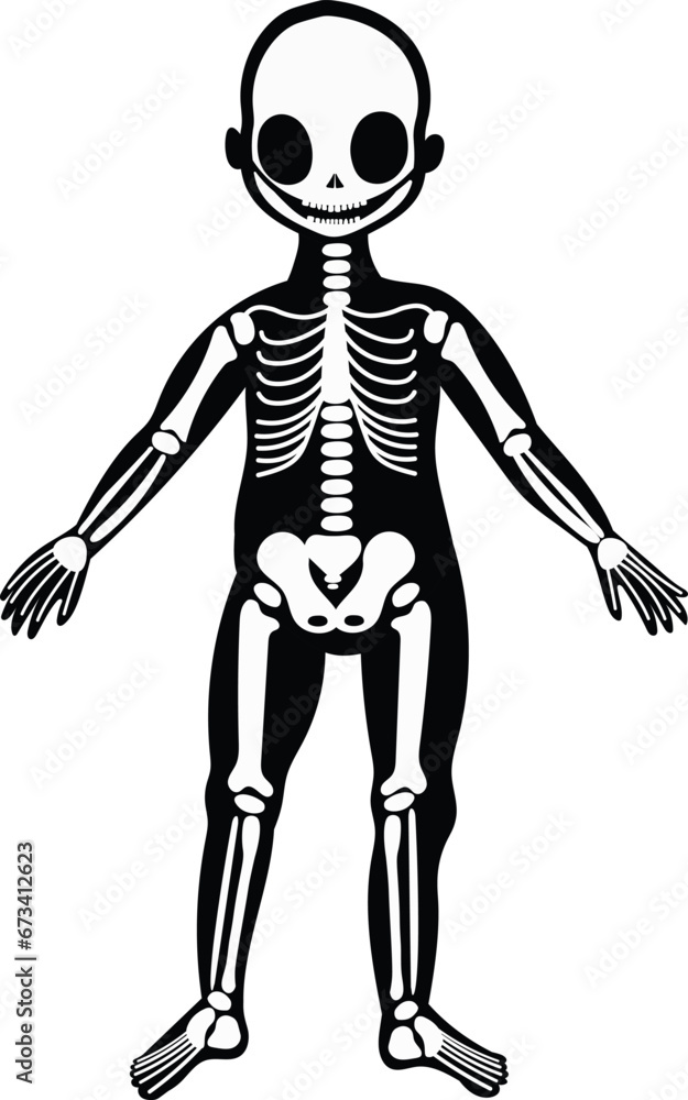 Skeleton, educational anatomy illustration for kids. Cute cartoon ...