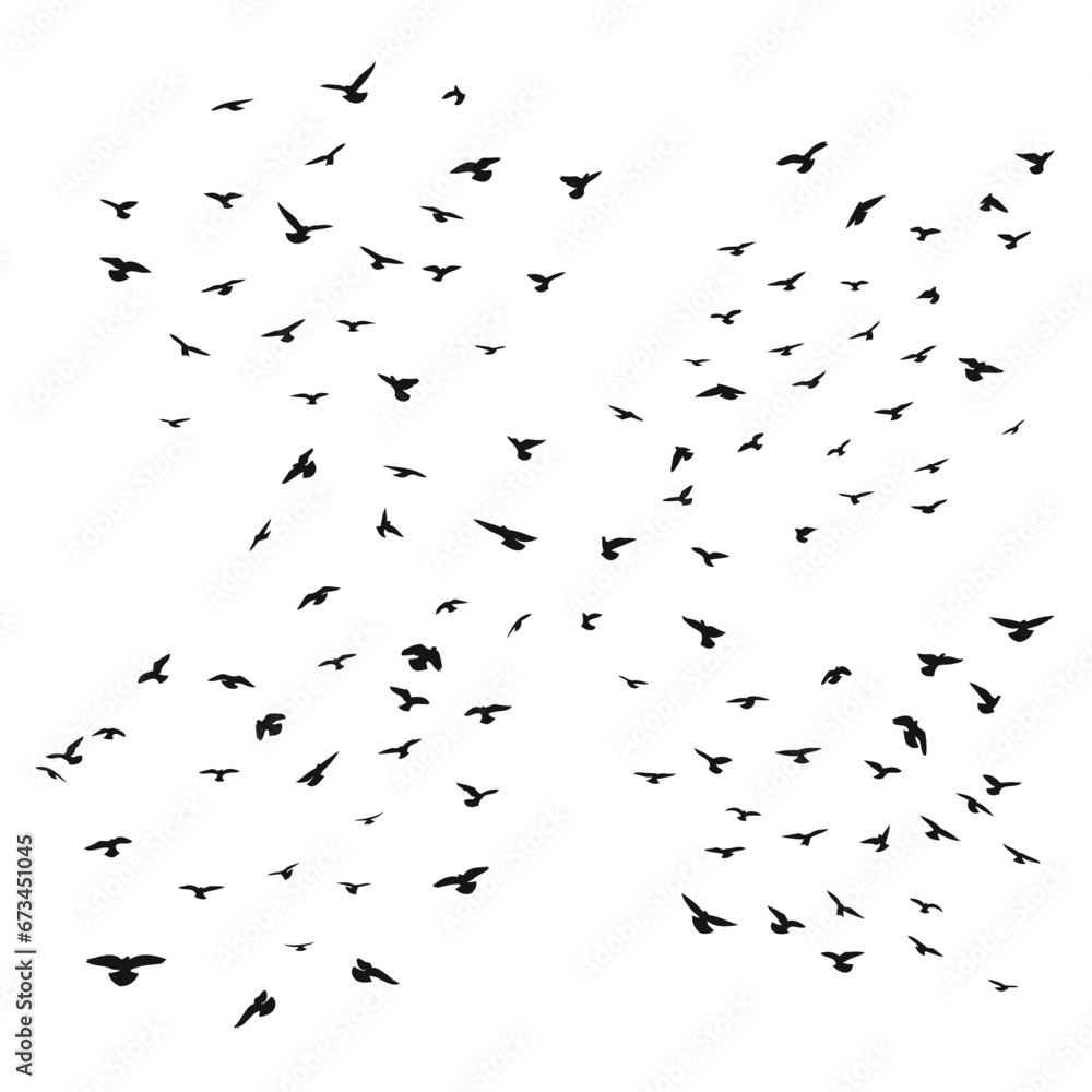 Sketch drawing of a silhouette of a flock of birds flying forward ...